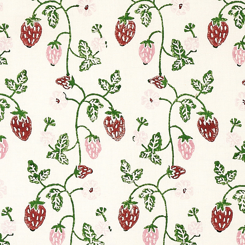 SCHUMACHER MOLLY MAHON STRAWBERRY HAND BLOCK PRINT PRINTS PRINTS GRASS ...