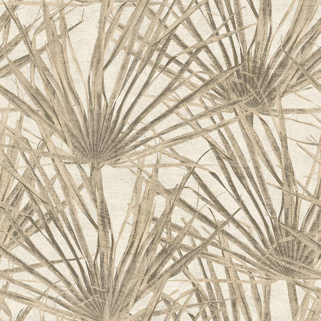Veer Decor Palm Cream Wallpaper Tropical Transitional, Traditional Cre ...