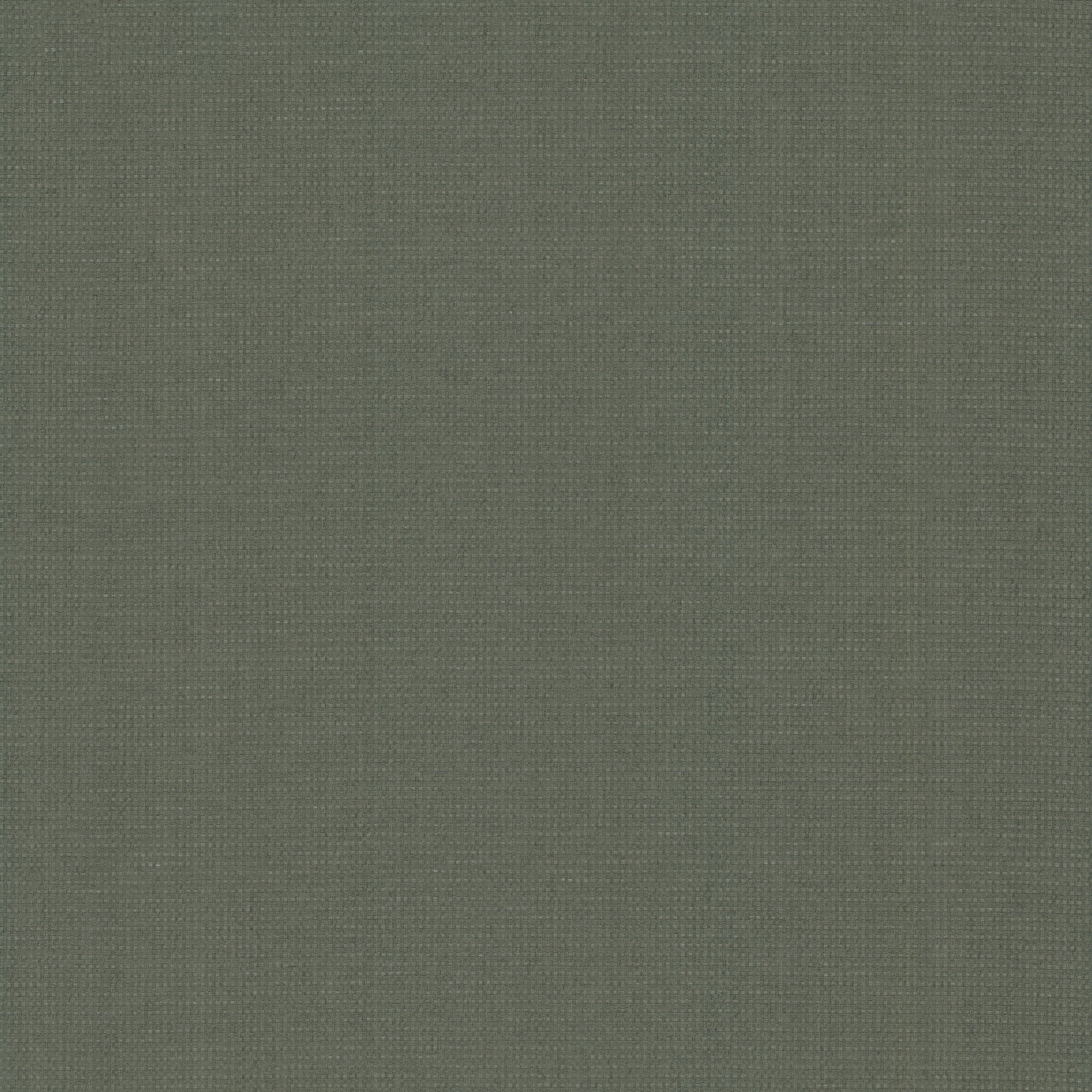 York Wallcoverings Grasscloth and Natural Resource Wicker Work Evergre ...