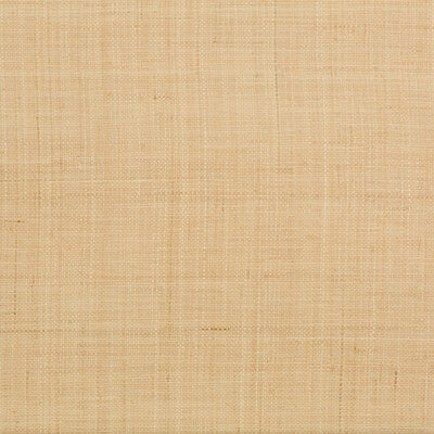 LEE JOFA MODERN FINE RAFFIA ELEMENTS II NATURALS LEE JOFA MODERN BEIGE ...