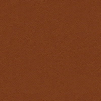 KRAVET DESIGN VINYL/FAUX LEATHER TEXTURE RUST,RUST, - RIGEL.24.0 ...