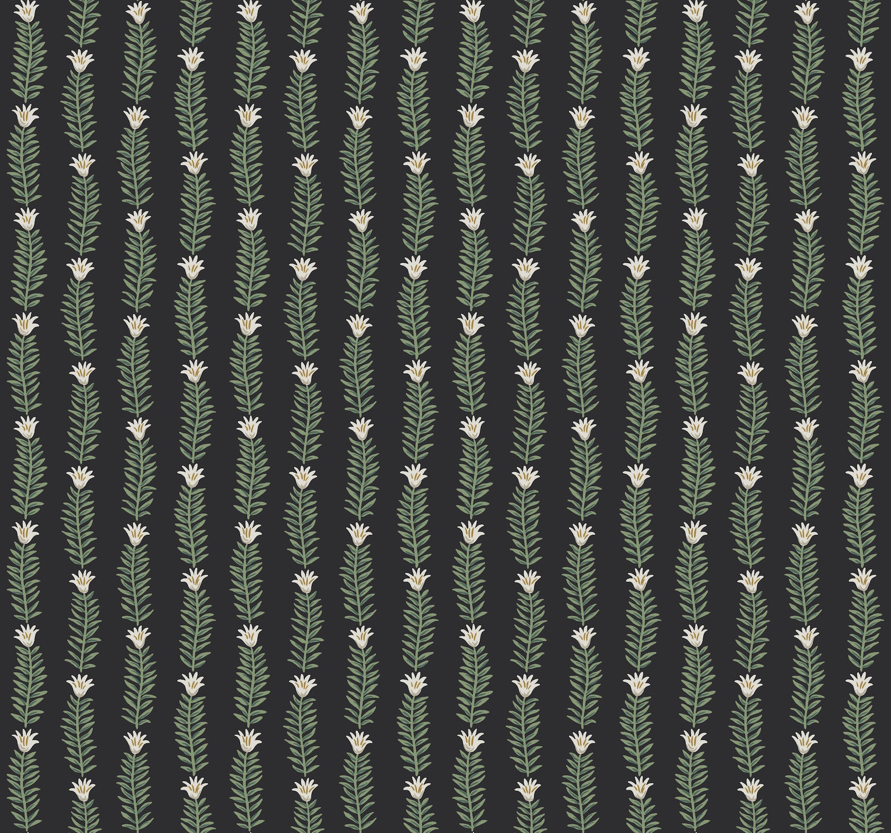 York Wallcoverings Rifle Paper Co. Second Edition Eden Black and Green ...