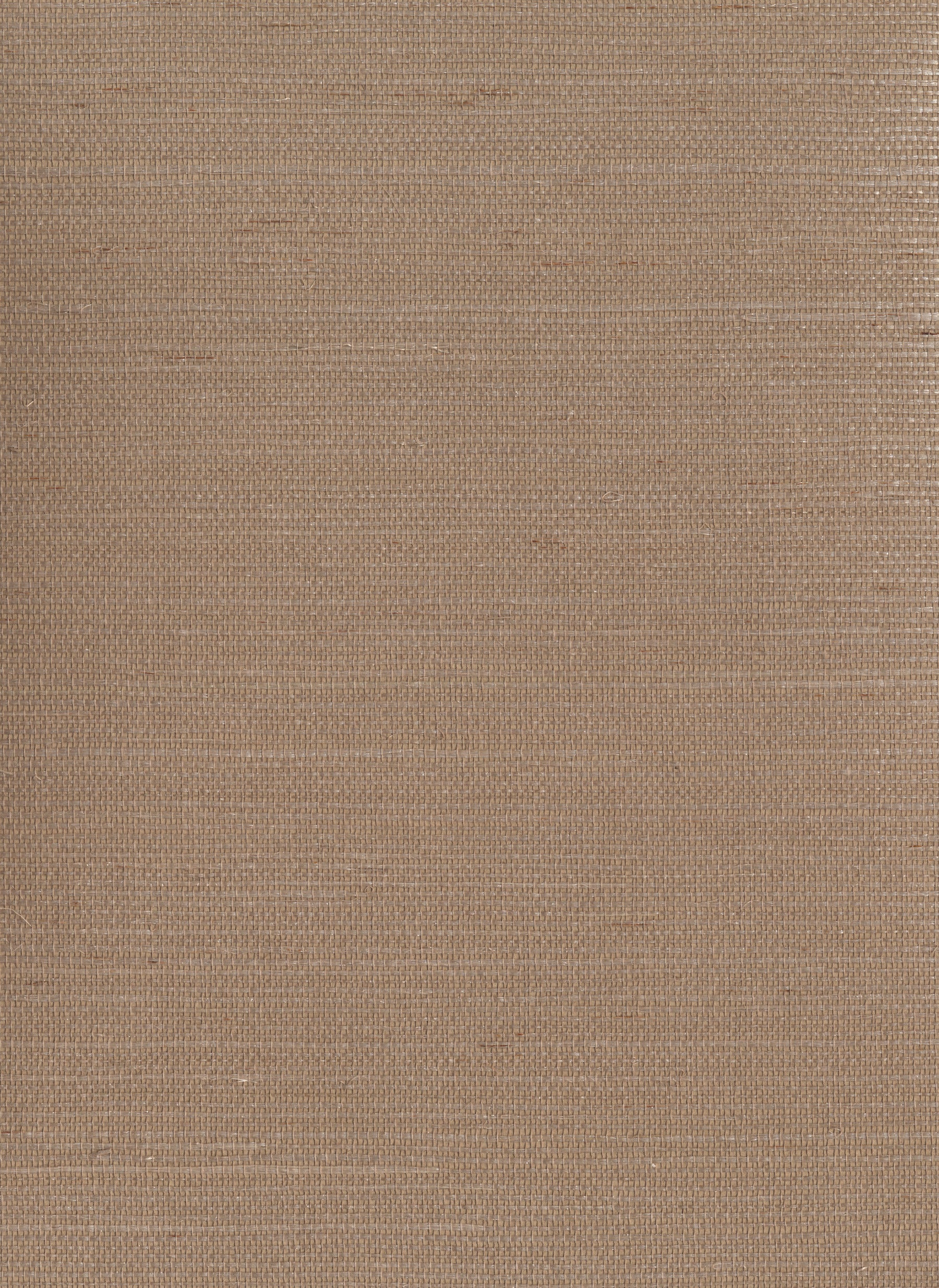 York Wallcoverings York Wallcoverings Sisal Twill Color Grasscloth Lig ...