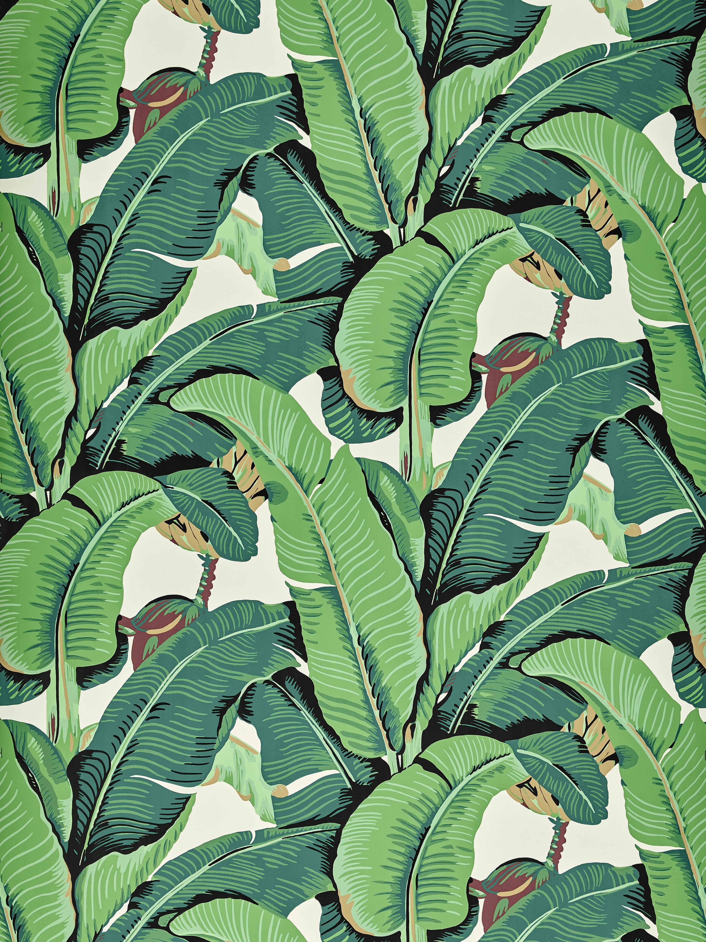 SCALAMANDRE HINSON PALM - WIDE WIDTH BOTANICAL , FOLIAGE GREEN - WHN00 ...