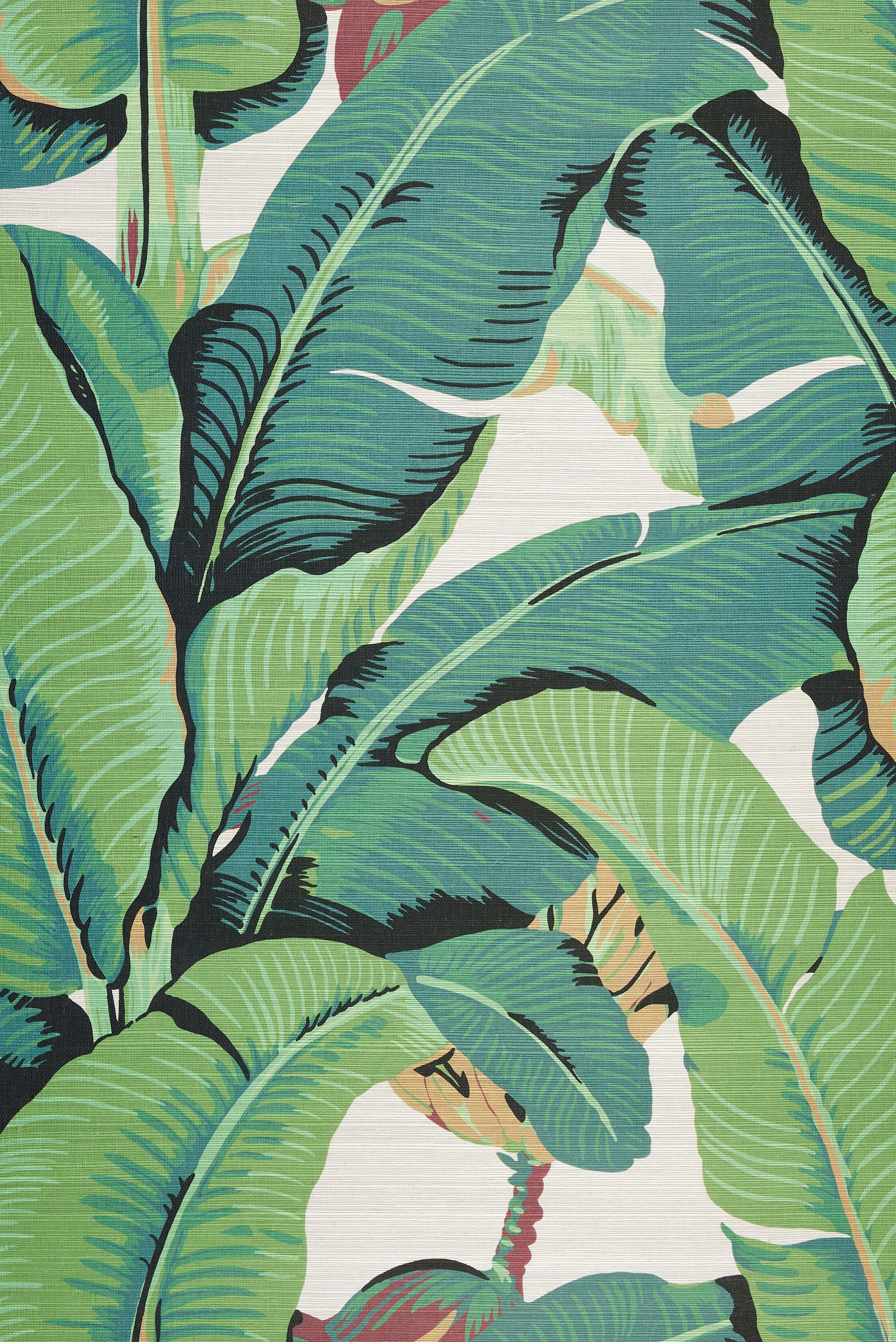 SCALAMANDRE HINSON PALM - GRASSCLOTH BOTANICAL , FOLIAGE SILVER GRAY ...