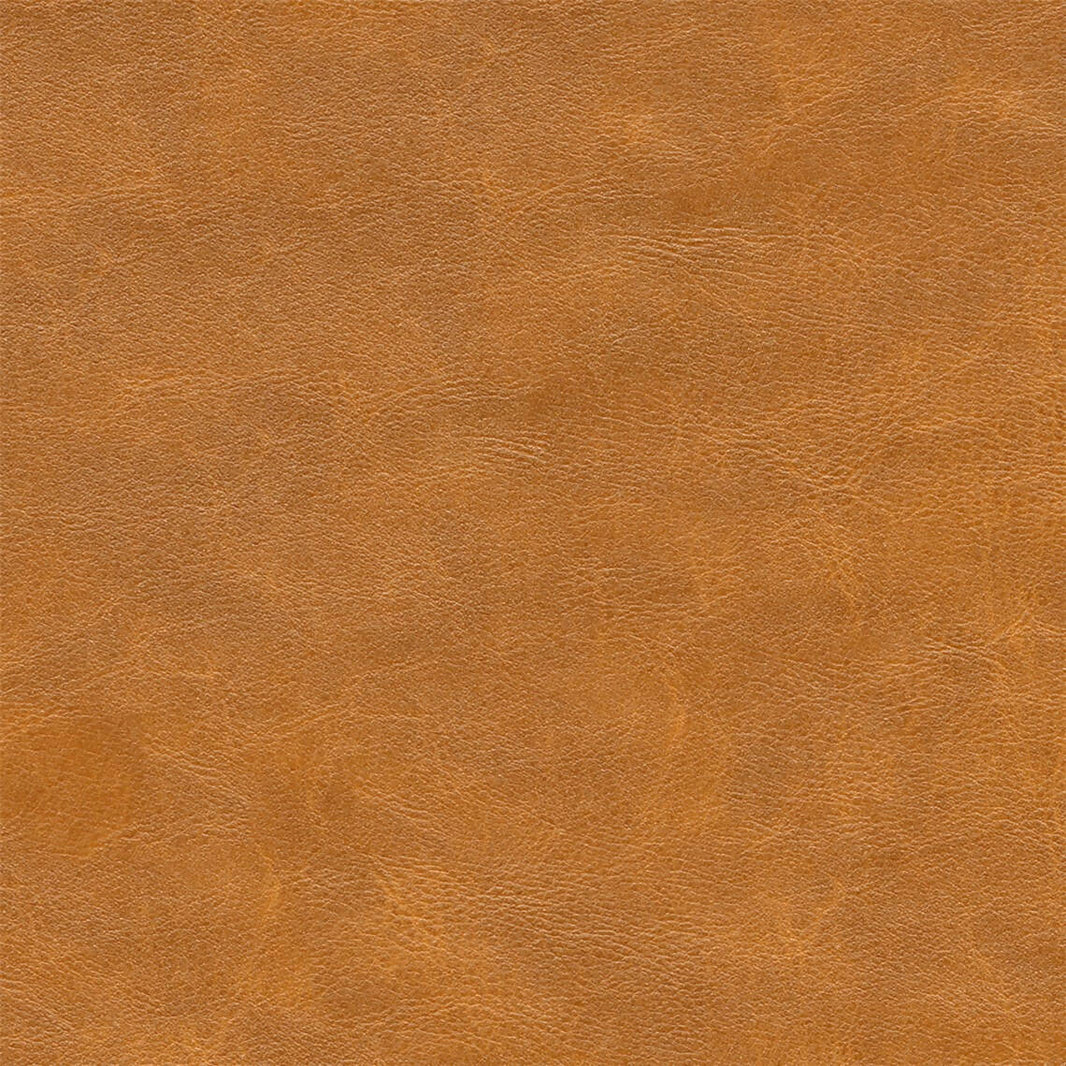 Architex Fabrics – Primoends "Home Decor to Go"